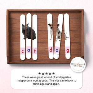MONTESSORI PINK SERIES Craft Stick Puzzles | 60 Cvc Words for Early ...