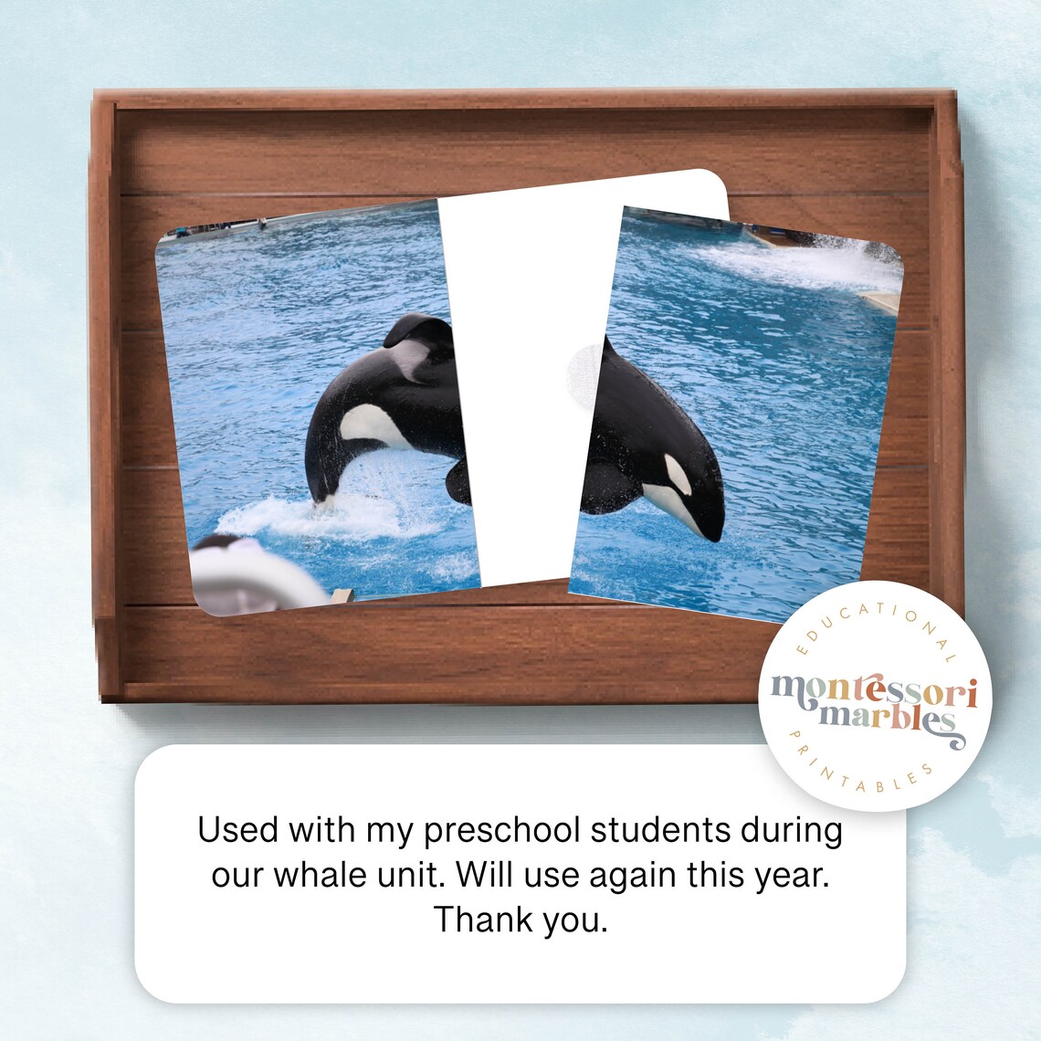 Whales Complete Pictures PDF | 8 Two-piece Puzzles Ages 2-6 | Ocean ...