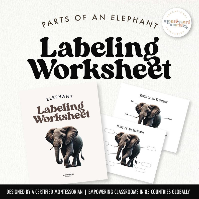 Elephant Anatomy Printable | Montessori Animal Study Worksheet ...