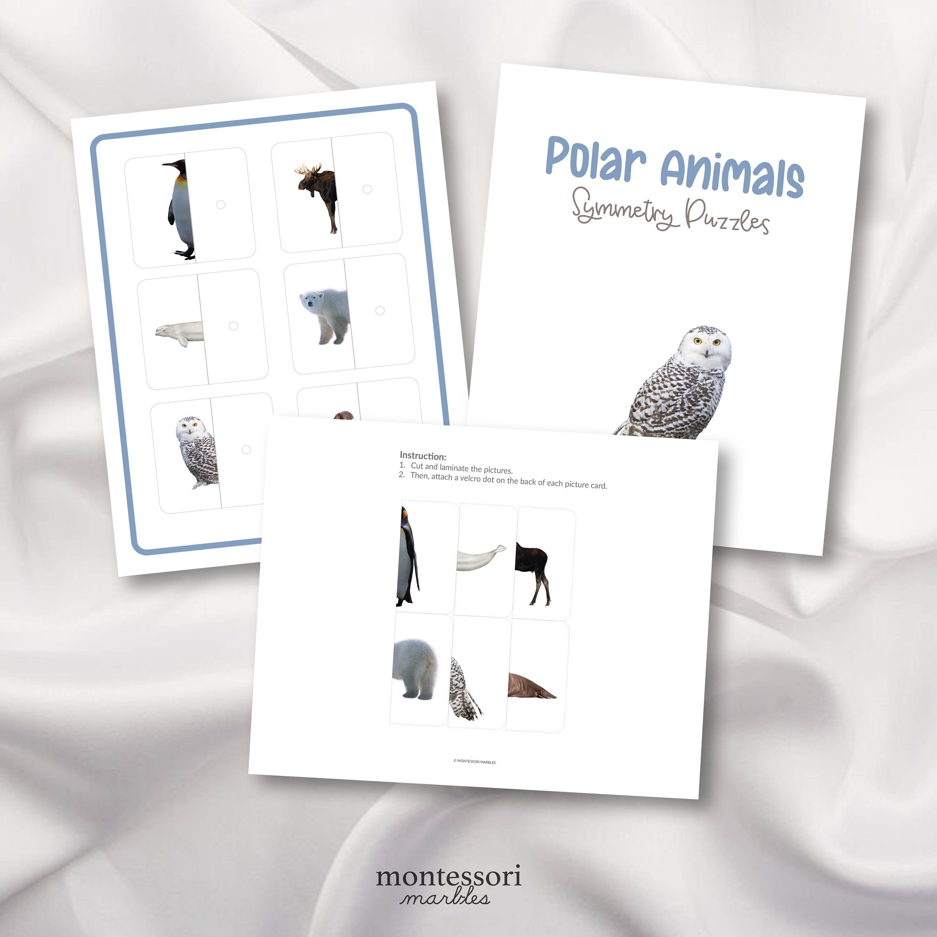 Polar Animals Two-piece Puzzles | Montessori Science | Symmetry ...
