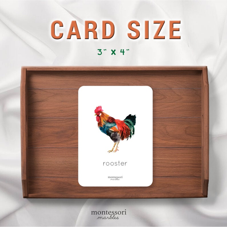 FARM ANIMALS Flash Cards Montessori Inspired Printable Resources ...