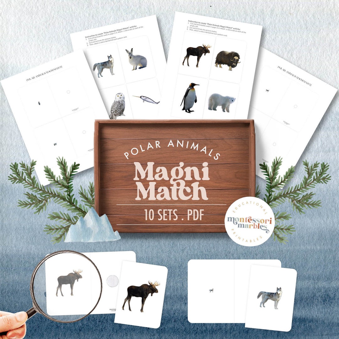Polar Animals Magni Match | Montessori Science | Magnifying Glass ...