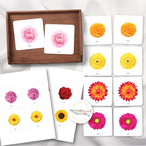 SPRING FLOWERS Matching and Memory Games | Fun Activity for Preschool ...