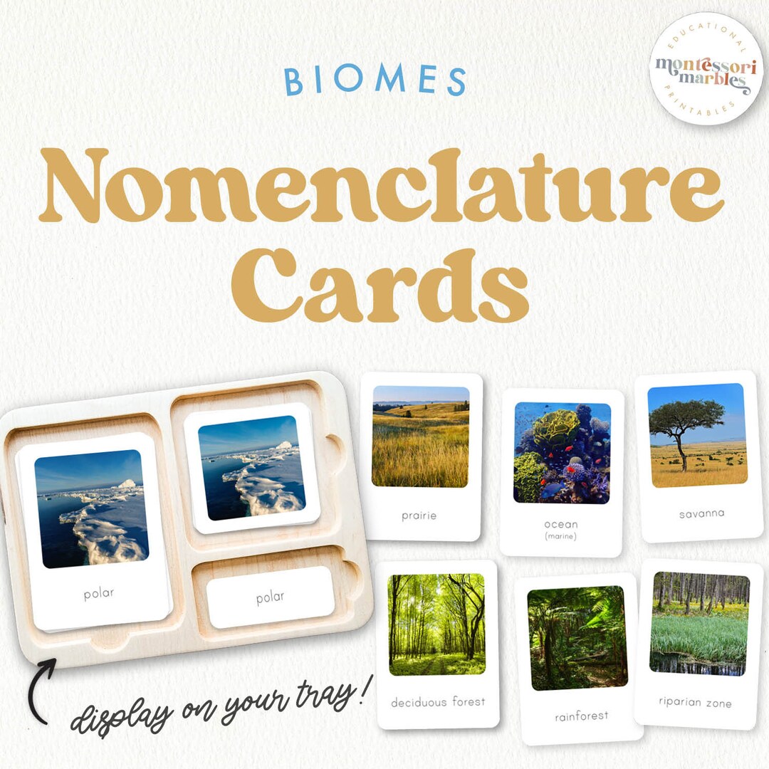 BIOMES Nomenclature Cards | Montessori Inspired Cards | Social Studies ...