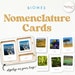 Biomes Nomenclature Cards | Montessori Geography | Real Photo 3-part ...