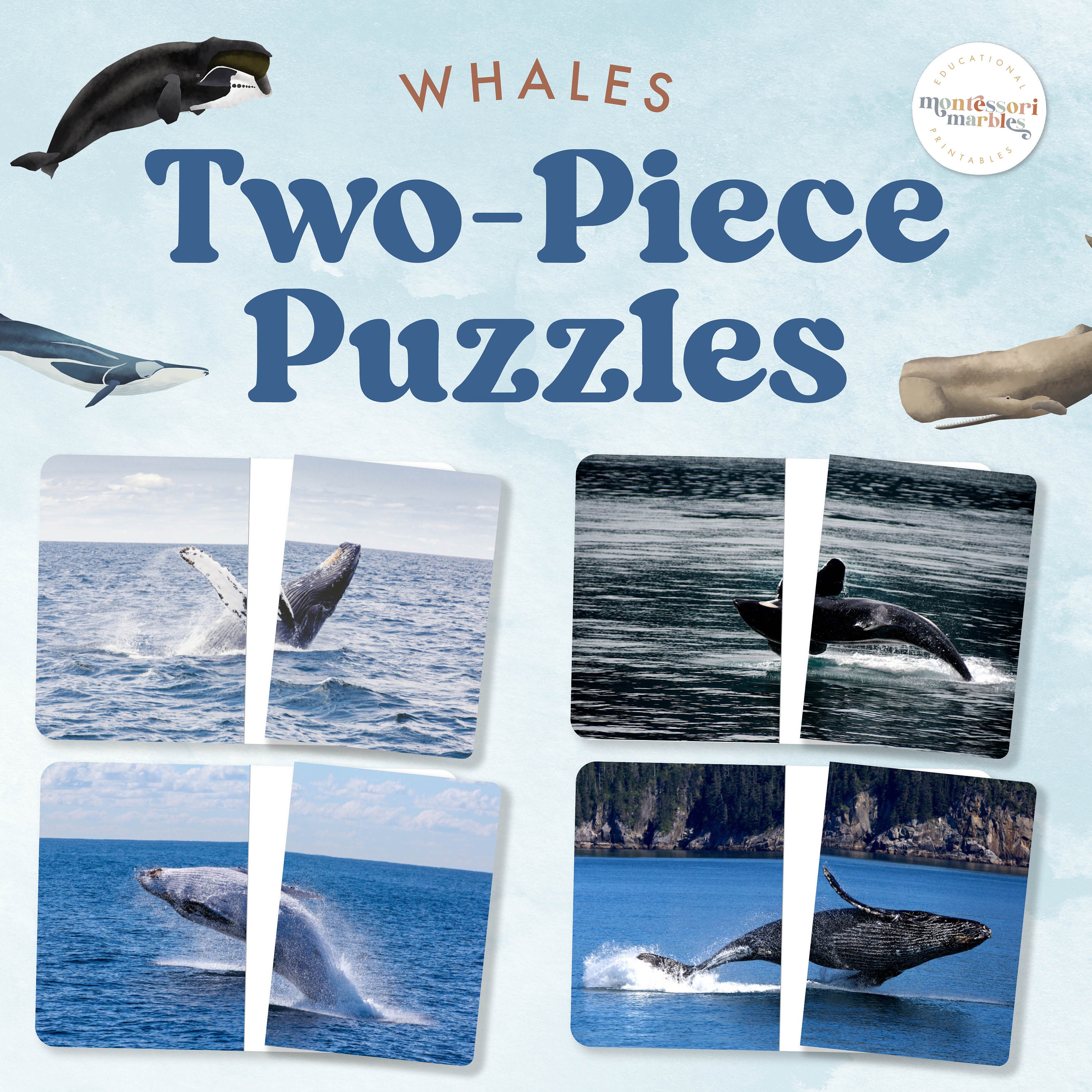 Whales Complete Pictures PDF | 8 Two-piece Puzzles Ages 2-6 | Ocean ...