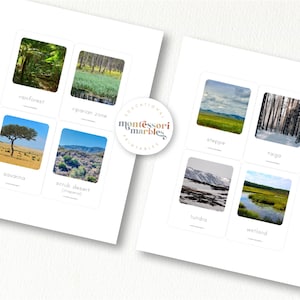 BIOMES Flash Cards | Montessori Inspired Cards | Social Studies ...