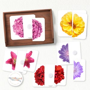FLOWERS Symmetry Matching Puzzle | Montessori Inspired Visual Skill ...