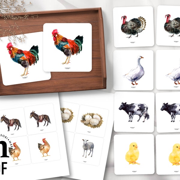 Farm Montessori Picture Cards - Etsy
