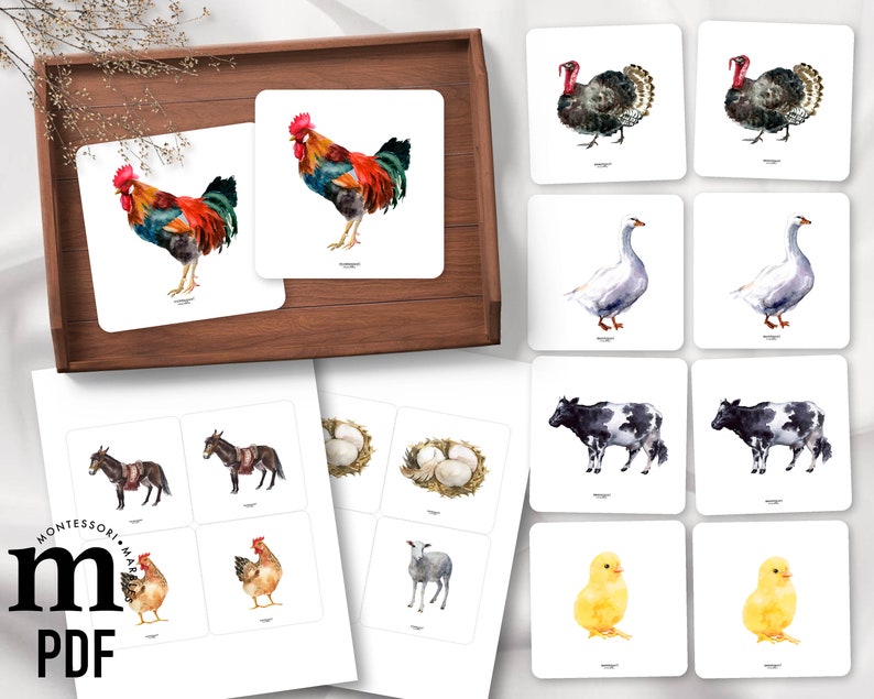 FARM ANIMALS Matching Picture Cards Montessori Inspired - Etsy
