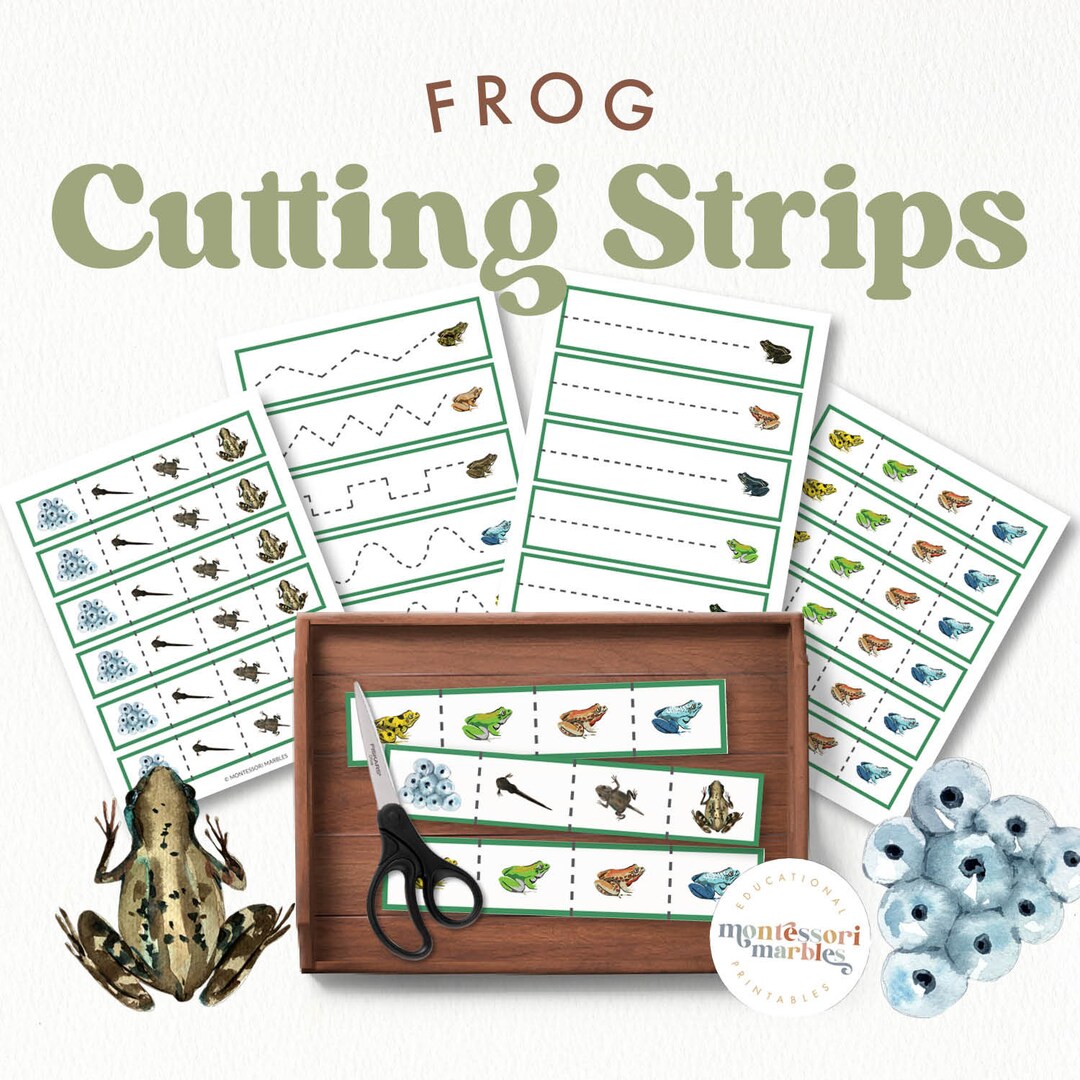 FROGS Cutting Strips With Life Cycle for Scissors Skills | Montessori ...