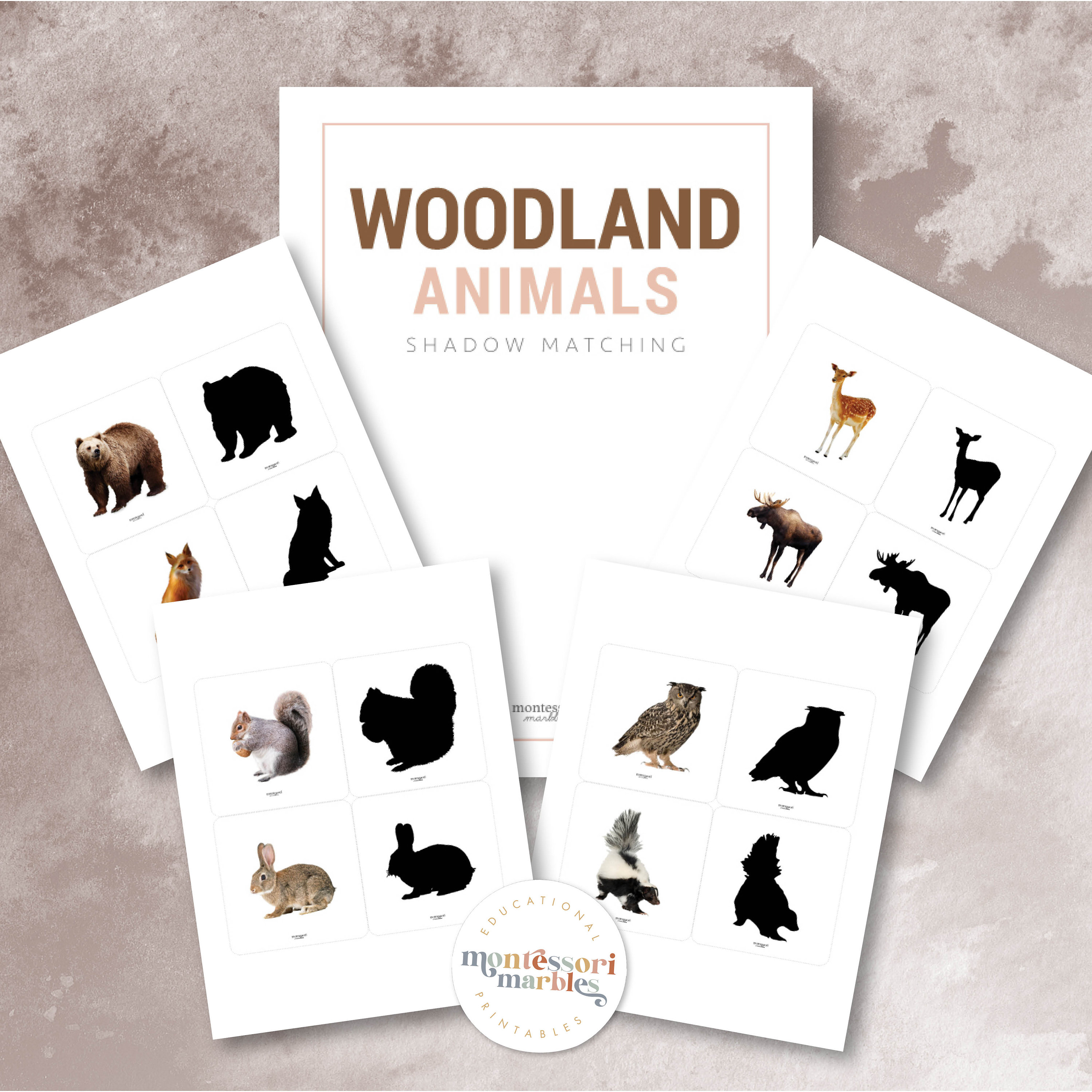 Woodland Animals Shadow Matching | Silhouette Game 10 Forest Animals ...
