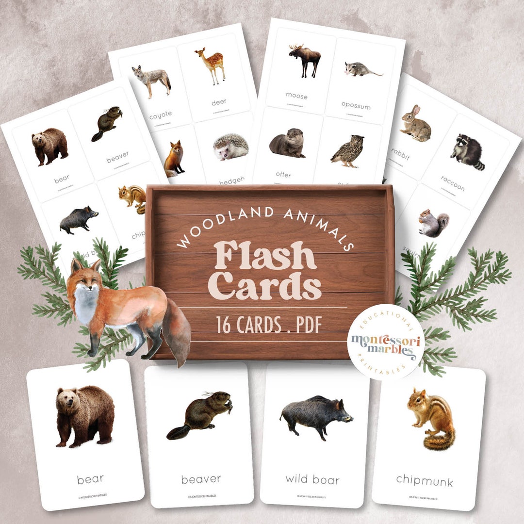 WOODLAND ANIMALS Flash Cards Montessori Inspired Printable Resources ...