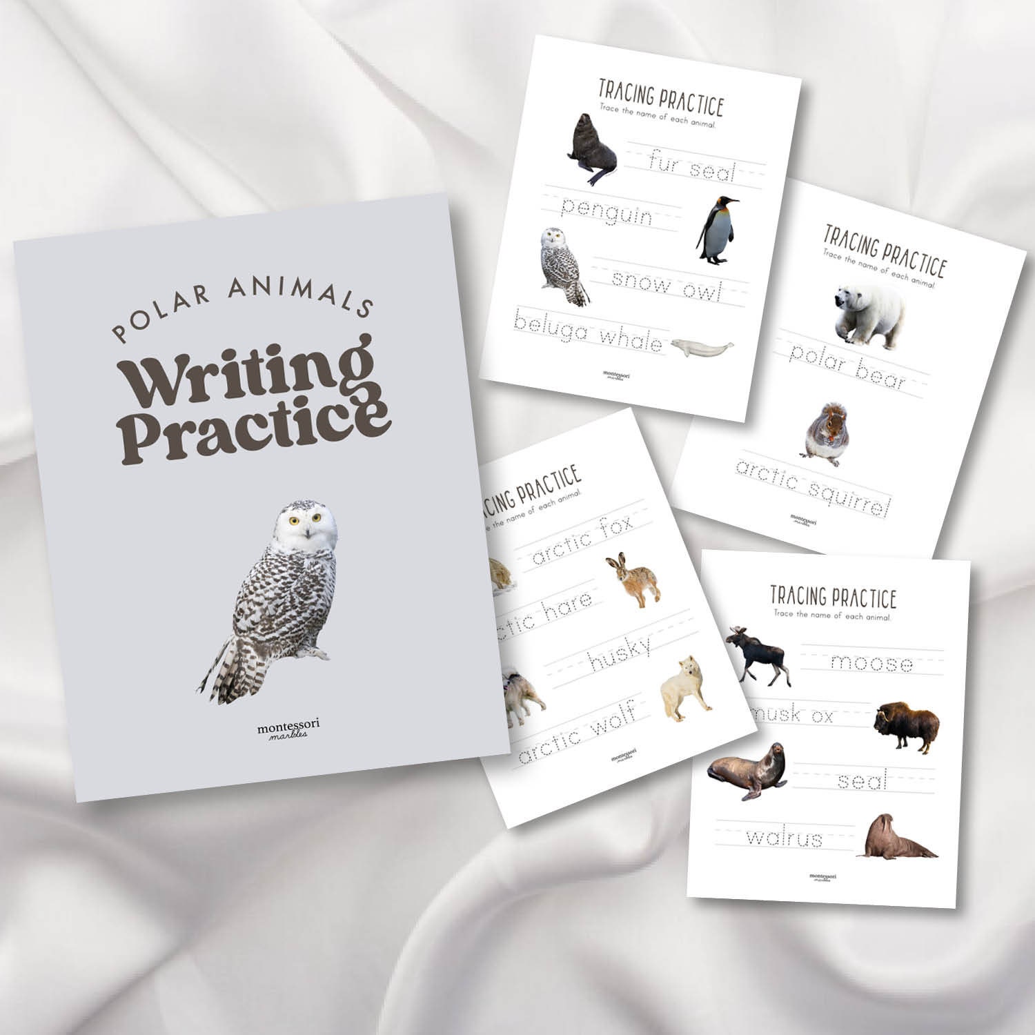 POLAR ANIMALS Tracing Activities Handwriting Practice With Line Tracing ...