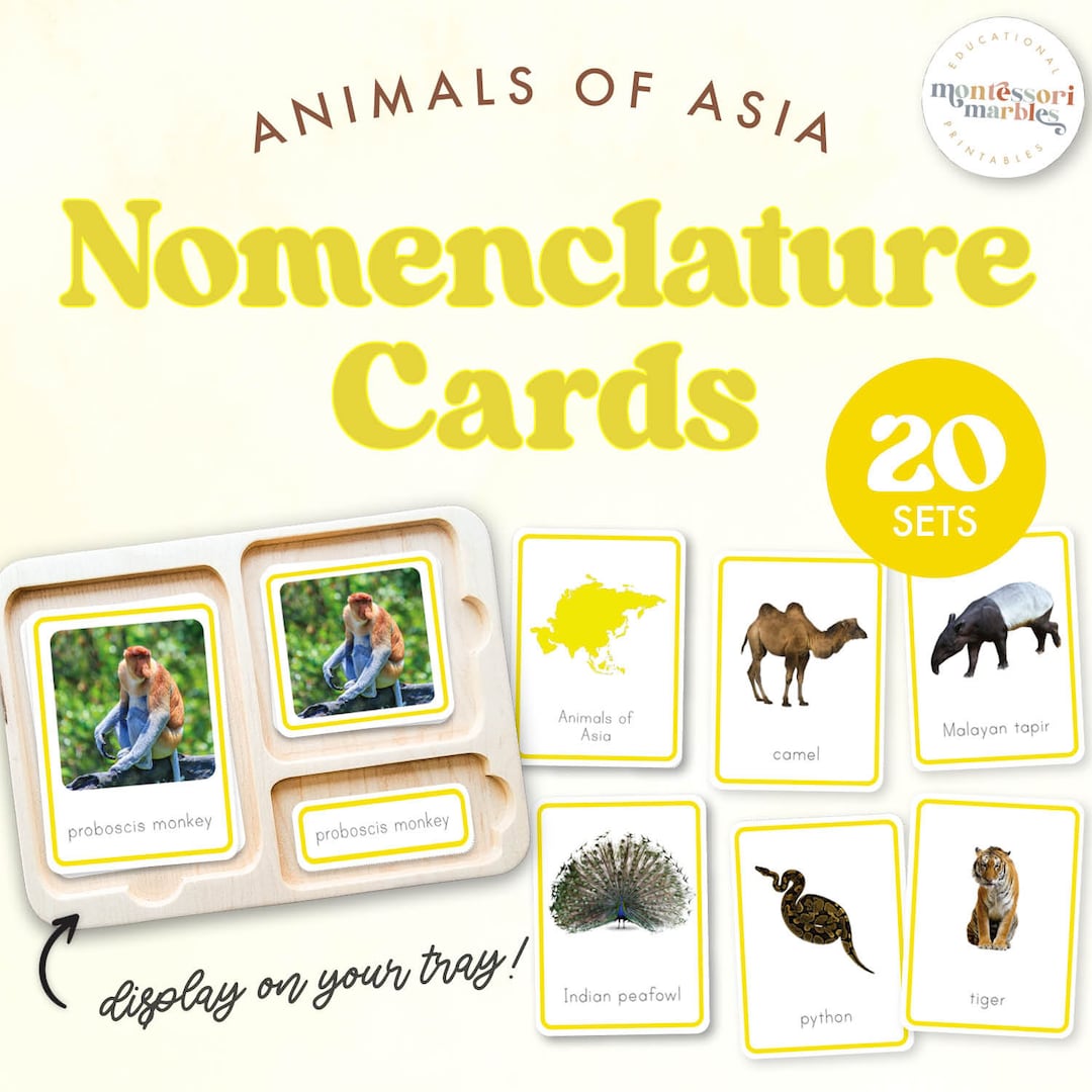 ANIMALS OF ASIA Montessori Nomenclature Cards | Nature-based Learning ...