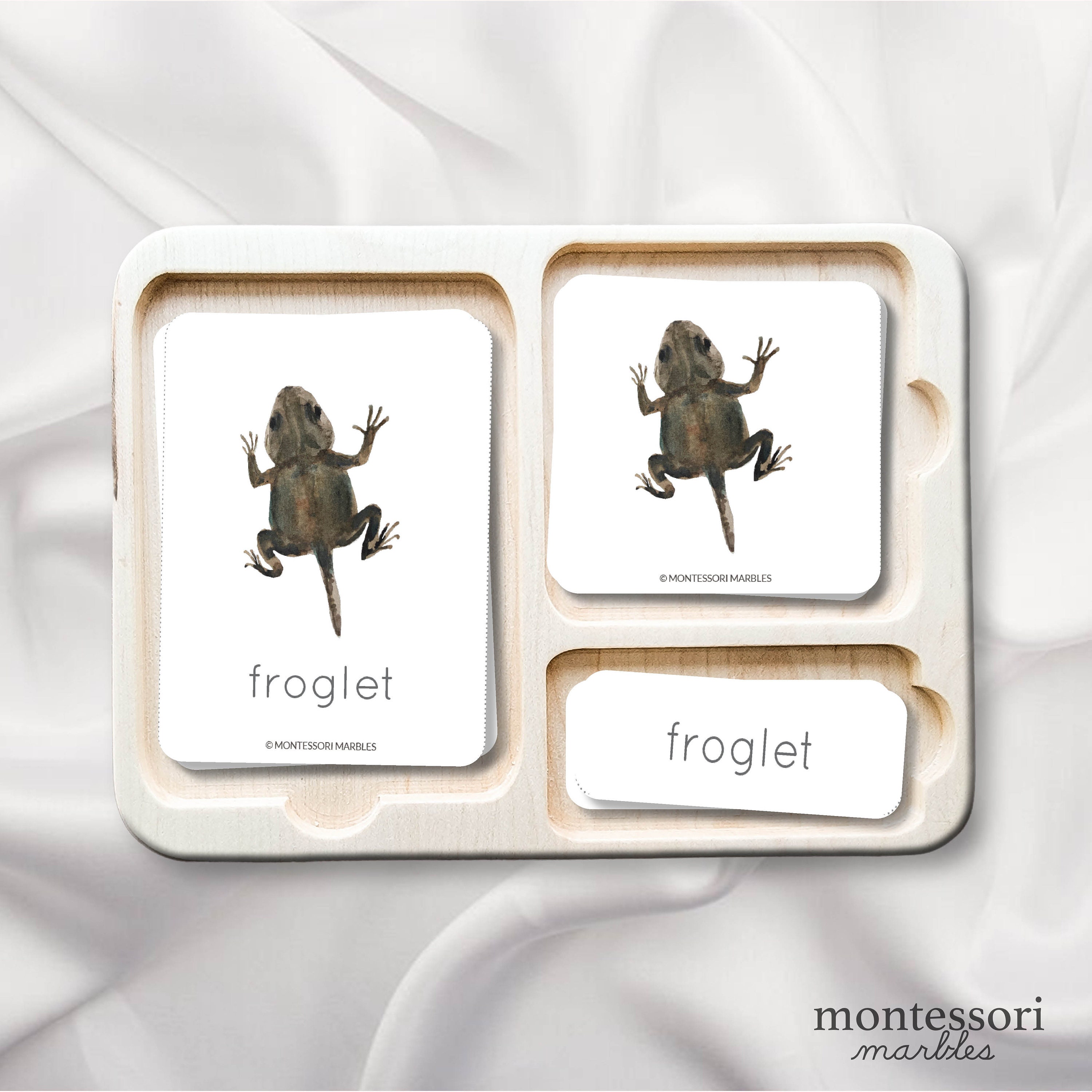 FROG LIFE CYCLE With Nomenclature Cards Learn About Nature - Etsy