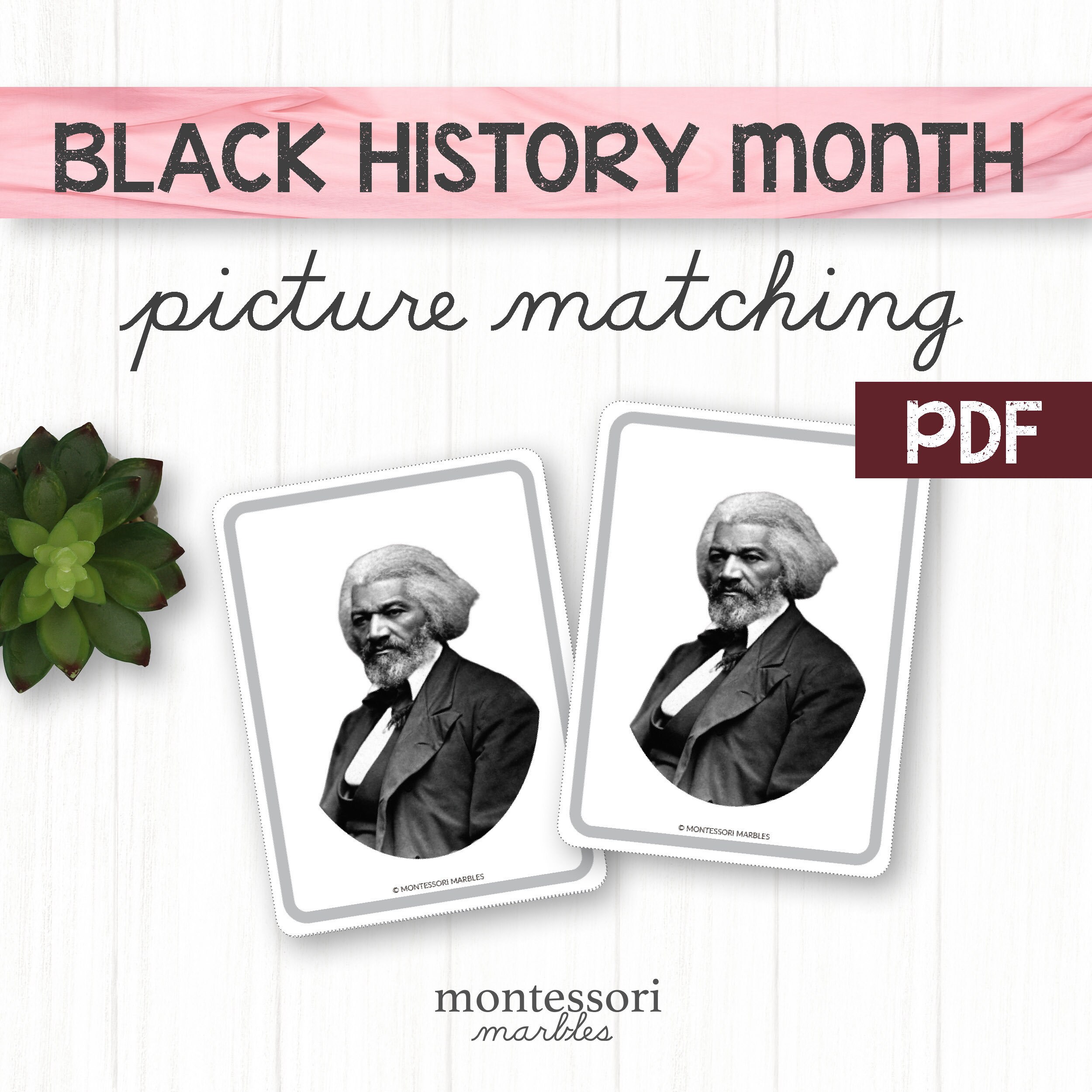 BLACK HISTORY MONTH Matching Picture Cards of Famous African | Etsy