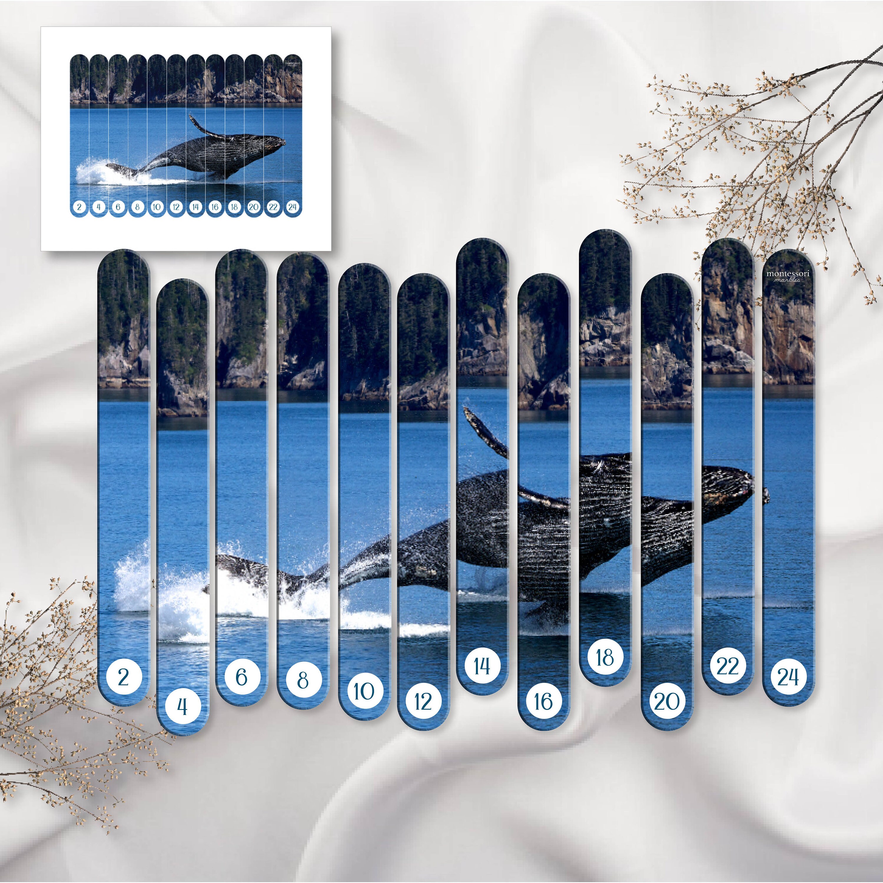 WHALES Skip Counting by 2s, 3s, 5s and 10s, Early Math, Math Puzzles ...