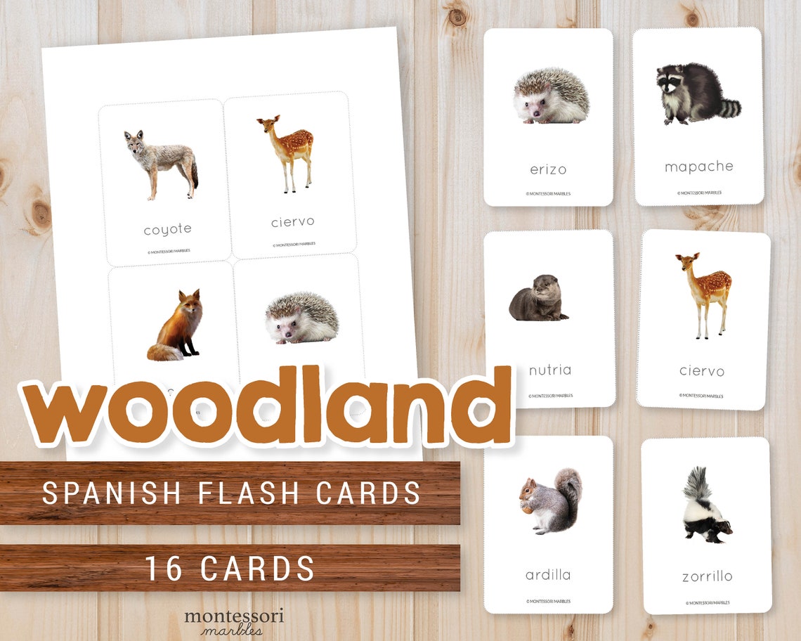 ANIMALES DEL BASQUE Woodland Animals Spanish Montessori - Etsy