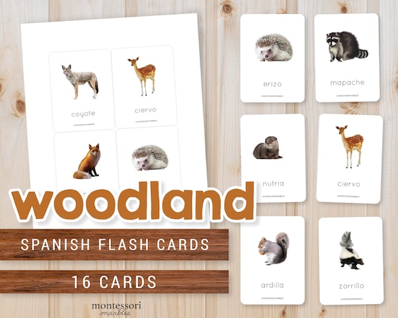 ANIMALES DEL BASQUE Woodland Animals Spanish Montessori - Etsy