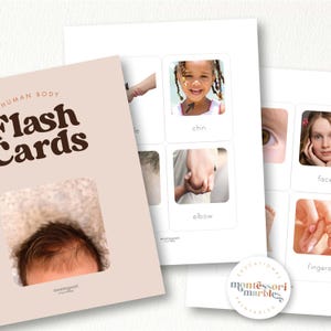 Human Body Parts Flash Cards | Montessori Homeschool Anatomy Printable ...