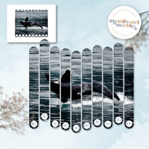 WHALES Skip Counting by 2s, 3s, 5s and 10s, Early Math, Math Puzzles ...