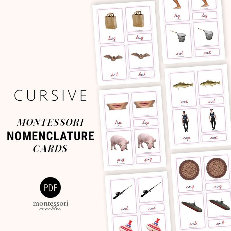 CURSIVE Montessori Nomenclature Cards Pink Series CVC Words - Etsy