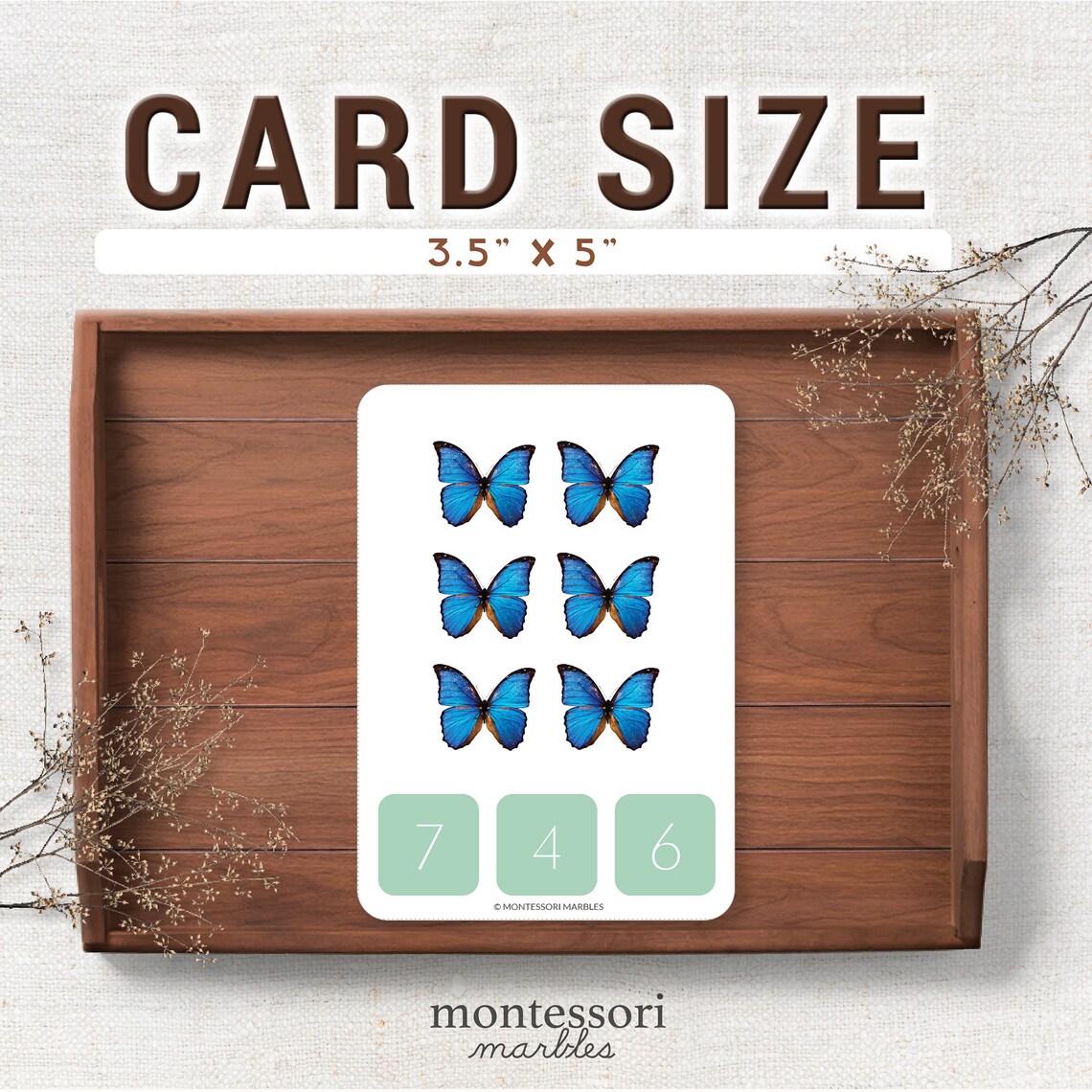 BUTTERFLY Counting 1 to 20 Kindergarten Math Learn to Count - Etsy
