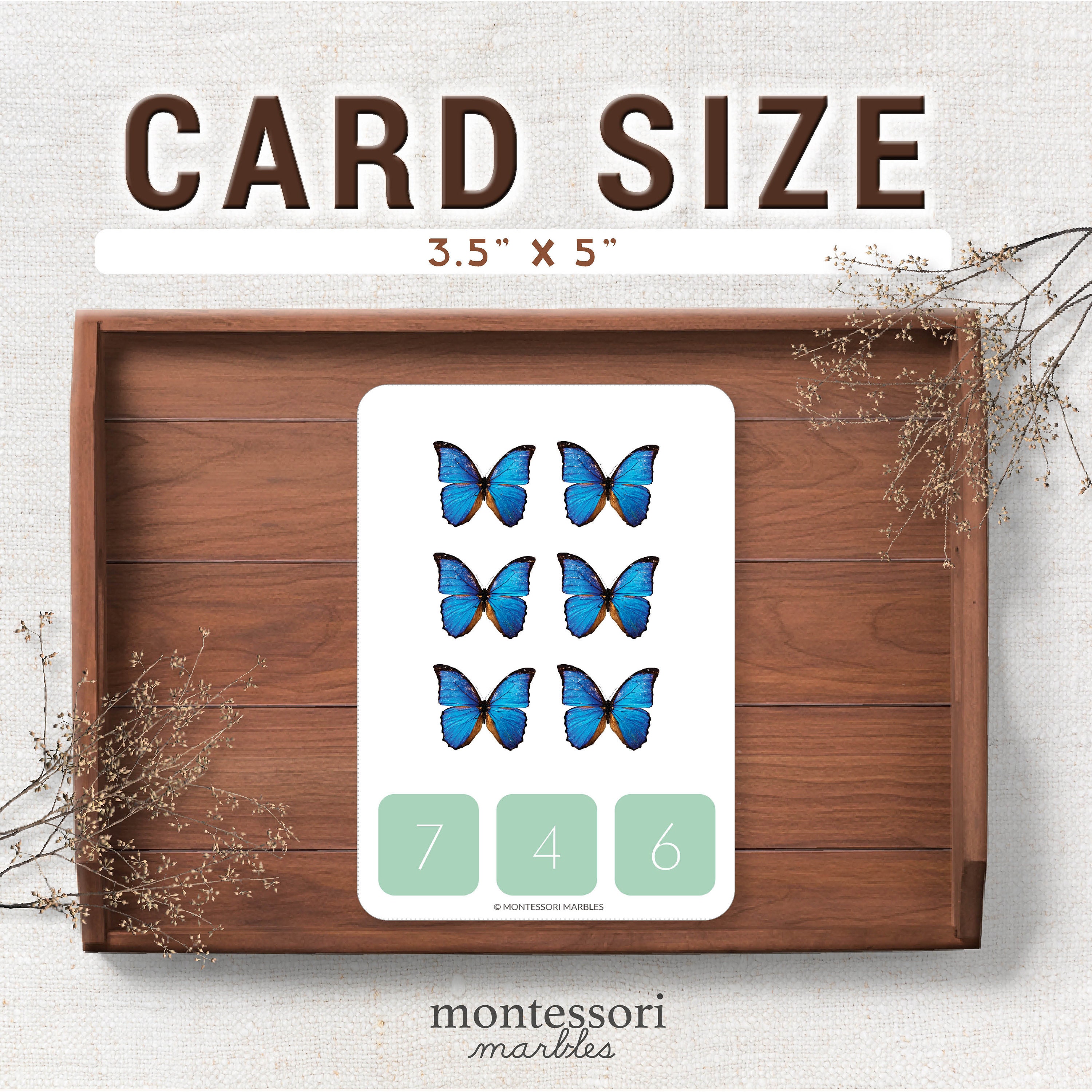 BUTTERFLY Counting 1 to 20 Kindergarten Math Learn to Count - Etsy