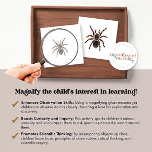 SPIDERS Magnifying Matching Game | Montessori at Home Using Magnifying ...
