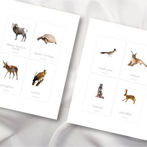 DESERT ANIMALS Flash Cards Vocabulary Builder Montessori Inspired ...