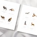 DESERT ANIMALS Flash Cards Vocabulary Builder Montessori Inspired ...
