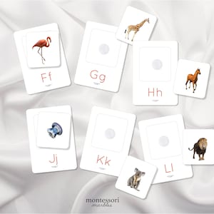 BEGINNING SOUNDS Matching Cards, Montessori Activity Cards, Learning ...