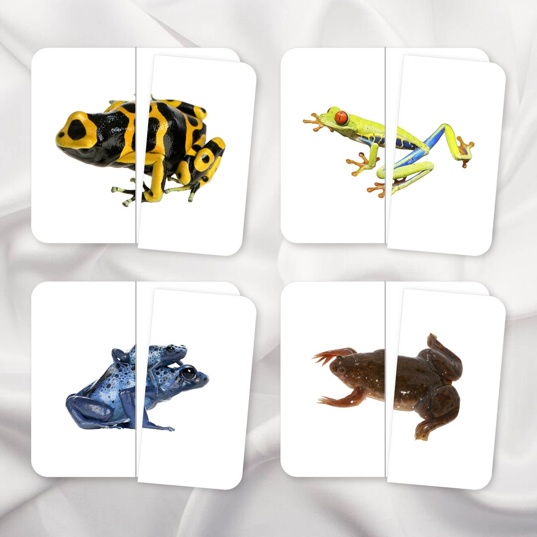 FROGS Symmetry Puzzles Montessori Inspired Toddler Activity Matching ...