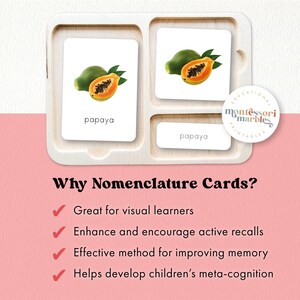 FRUITS Nomenclature Cards | Montessori Inspired Resources With Real ...