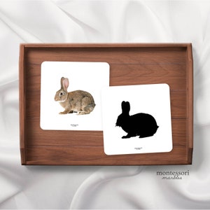 WOODLAND ANIMALS Shadow Matching Montessori Inspired Silhouette ...