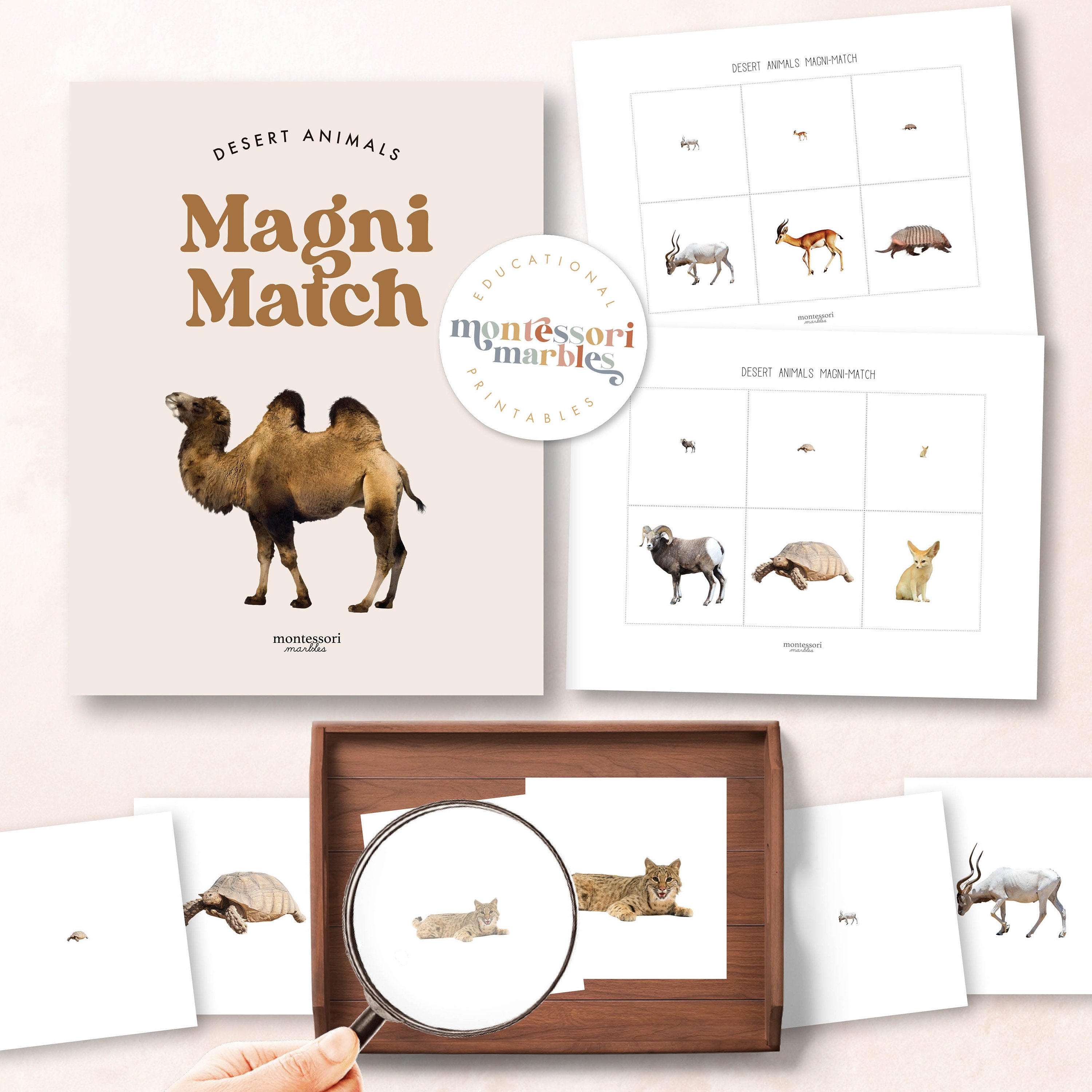 DESERT ANIMALS Magnifying Matching Game Montessori at Home Using ...