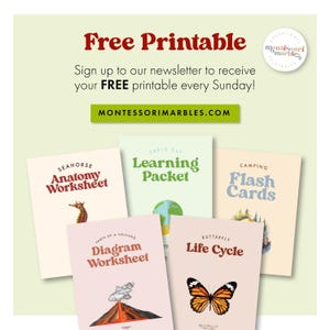 CHRISTMAS Counting Cards, Counter Cards, Count 1 to 10, Preschool Math ...