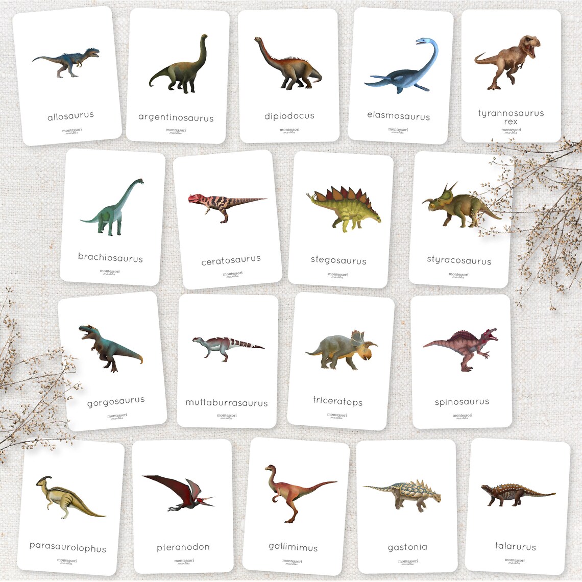 DINOSAURS Flash Cards 18 Flashcards Montessori Inspired | Etsy