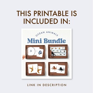 OCEAN ANIMALS Symmetry Puzzles | Montessori Inspired Printable ...