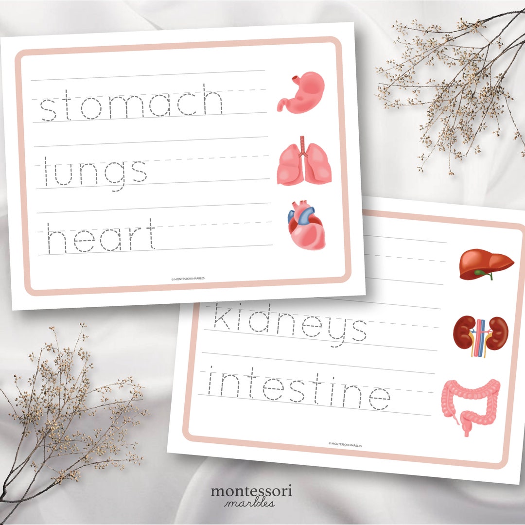 HUMAN ORGANS Handwriting Practice Tracing and Spelling - Etsy UK