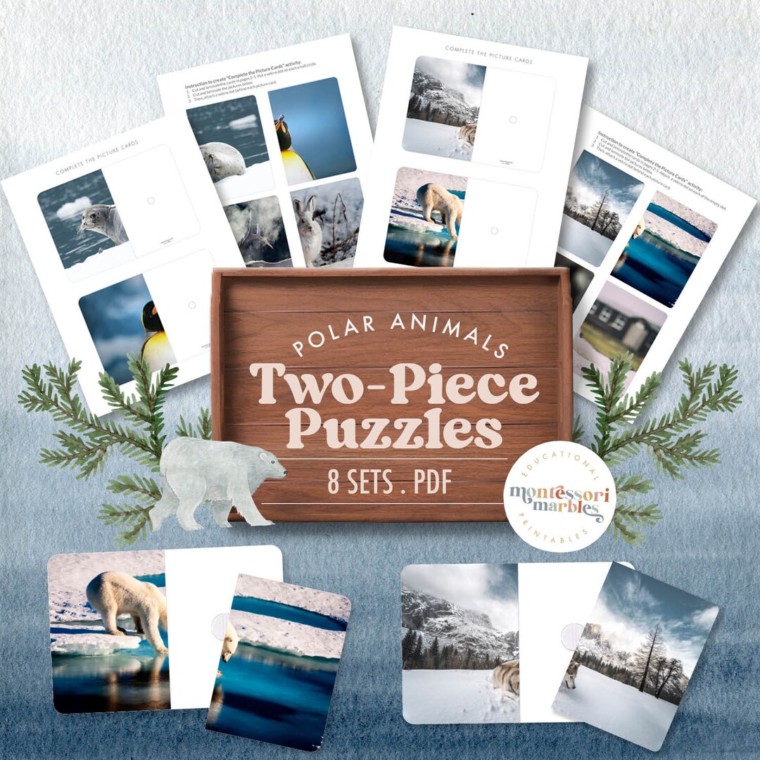 POLAR ANIMALS, Montessori Picture Matching Activity, Toddlers Matching ...