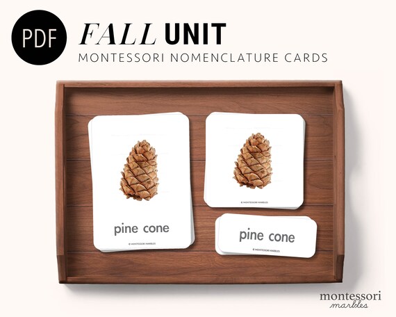 FALL Montessori Nomenclature Cards Autumn Flash Cards | Etsy