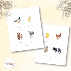 FARM ANIMALS Flash Cards | Montessori Inspired Printable Resources ...