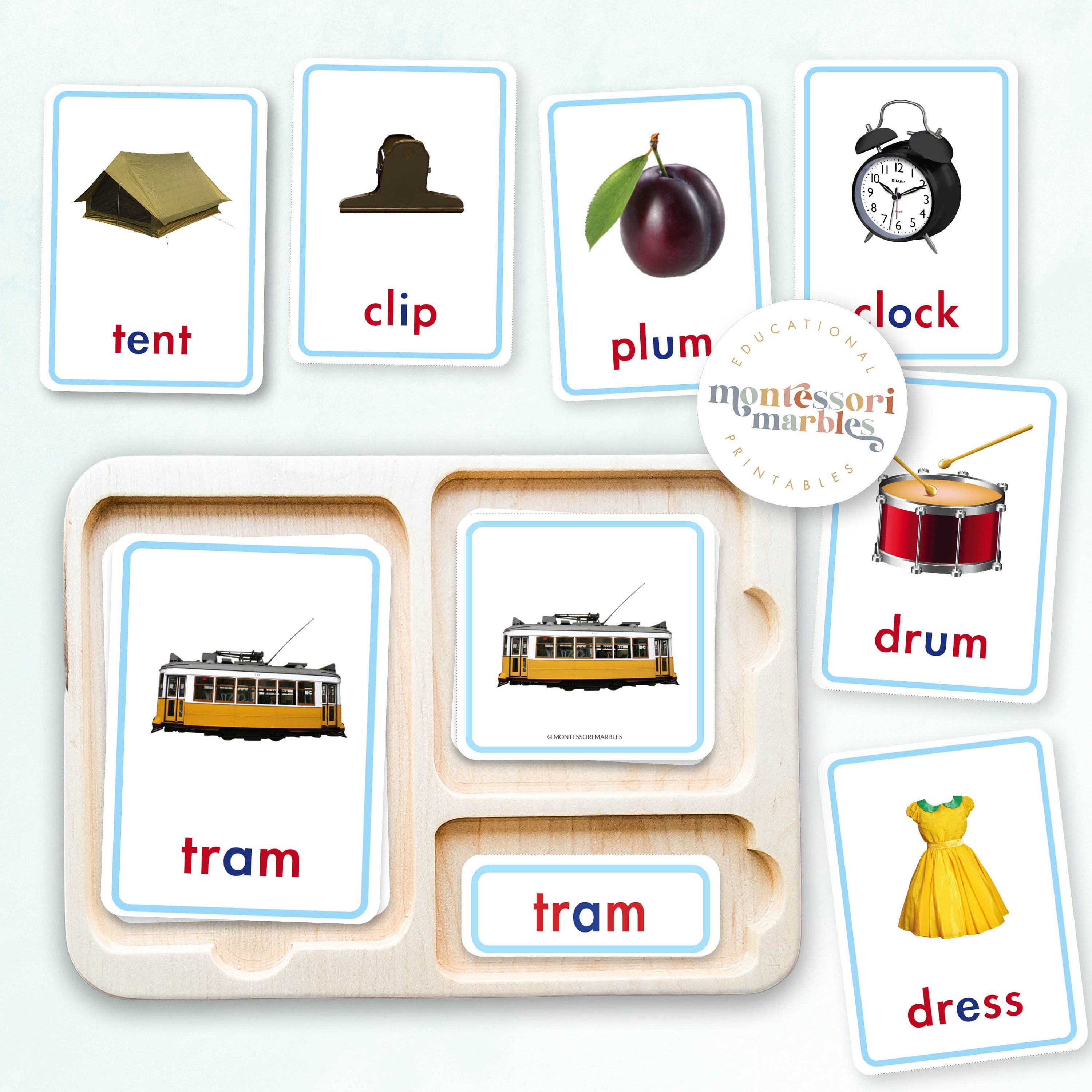 Blue Series Nomenclature Cards | Montessori Language | Consonant Blends ...