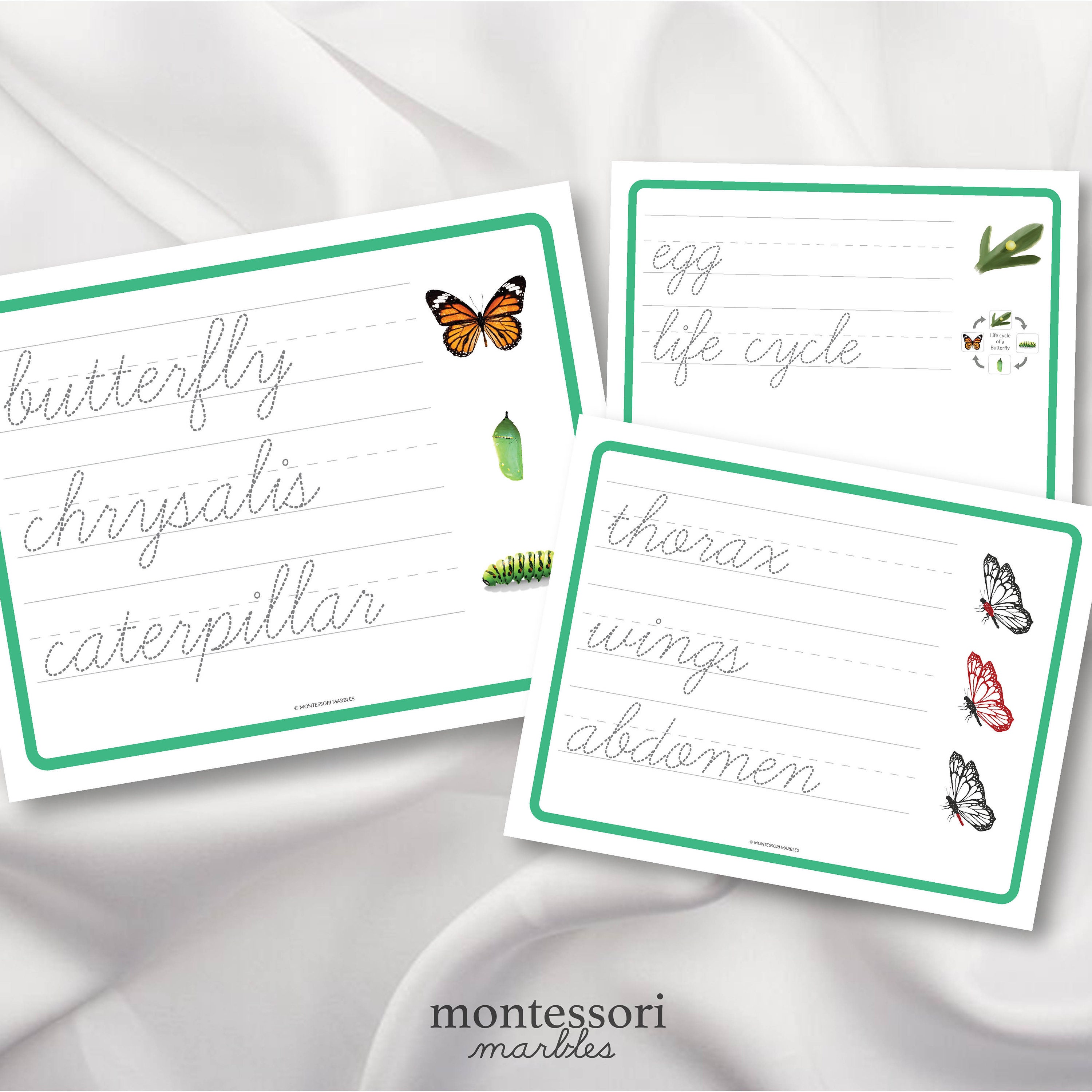 Butterfly Tracing Activities for Preschool and Kindergarten in - Etsy