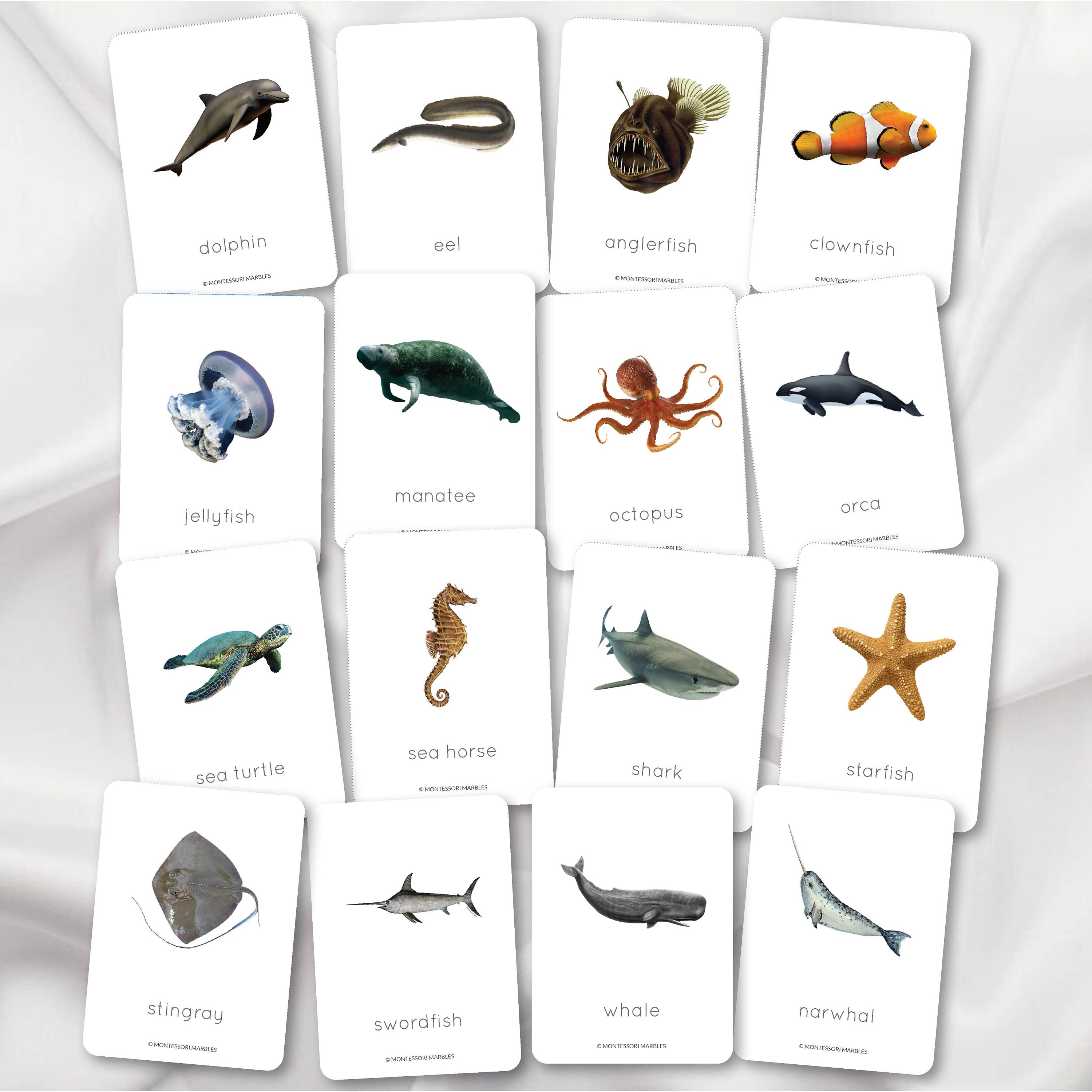 OCEAN ANIMALS Flash Cards Montessori Inspired Resources With Real ...