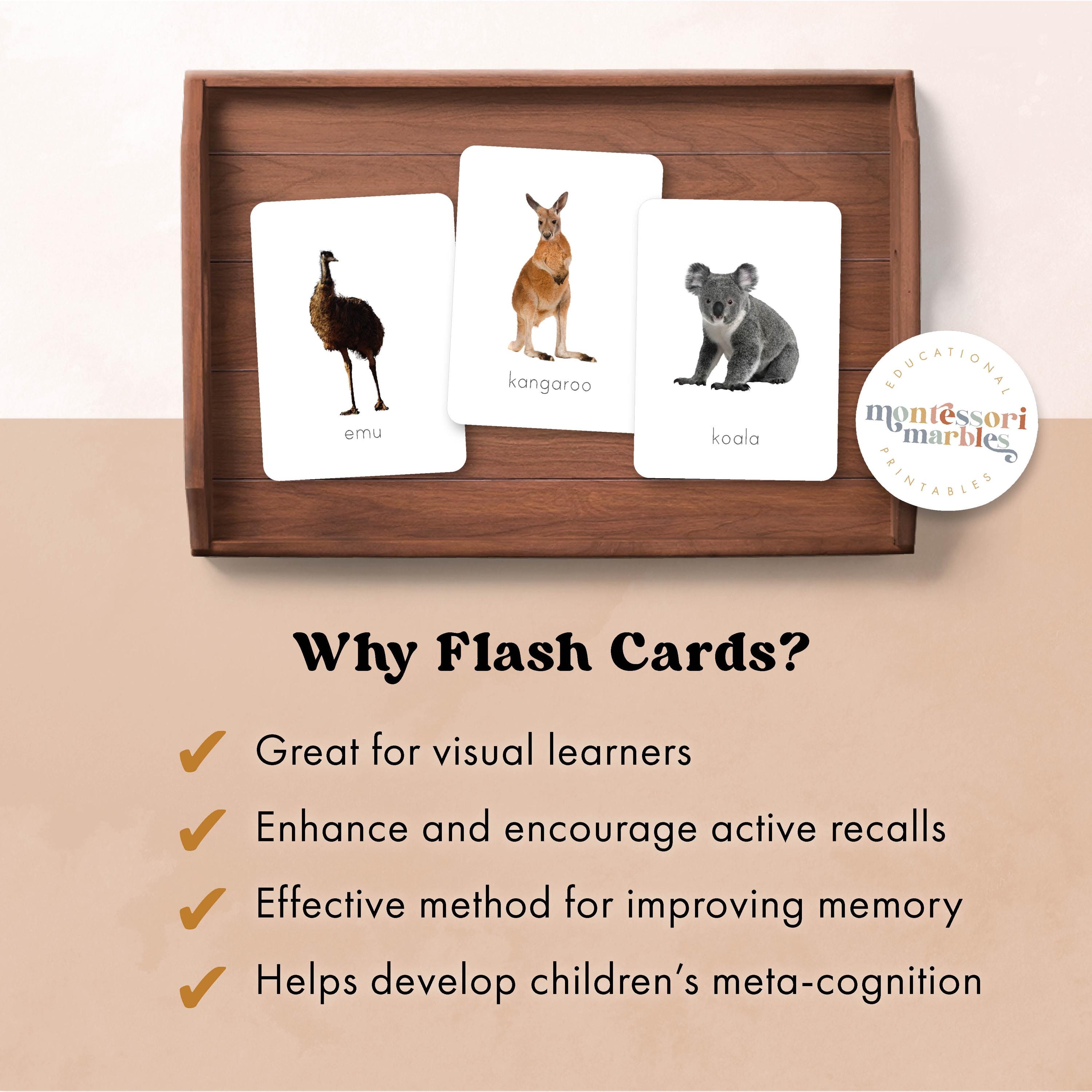 Australian Animals Flash Cards | Montessori Learning Resource ...