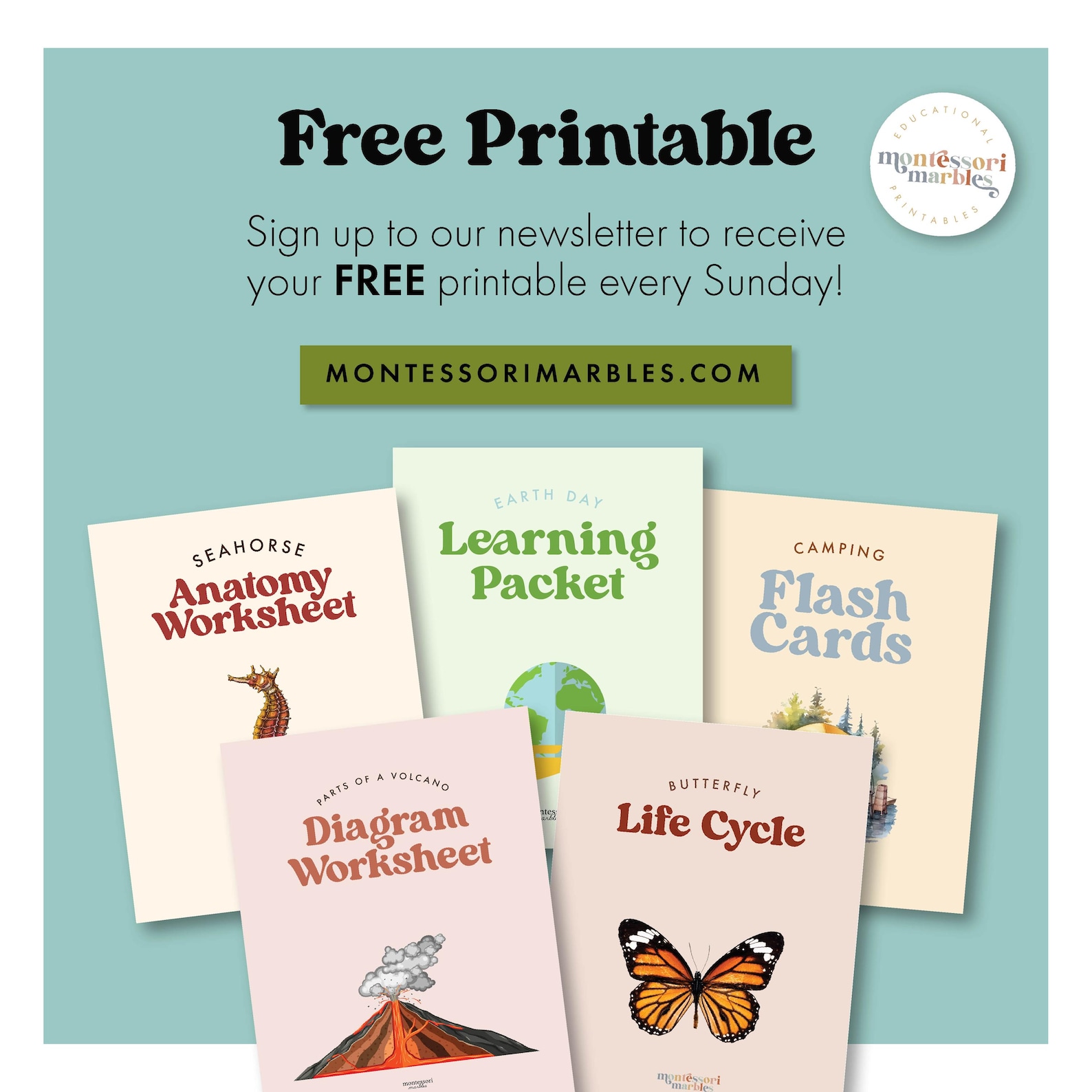 Spanish Landforms Flash Cards | Montessori Geography | Bilingual Earth ...