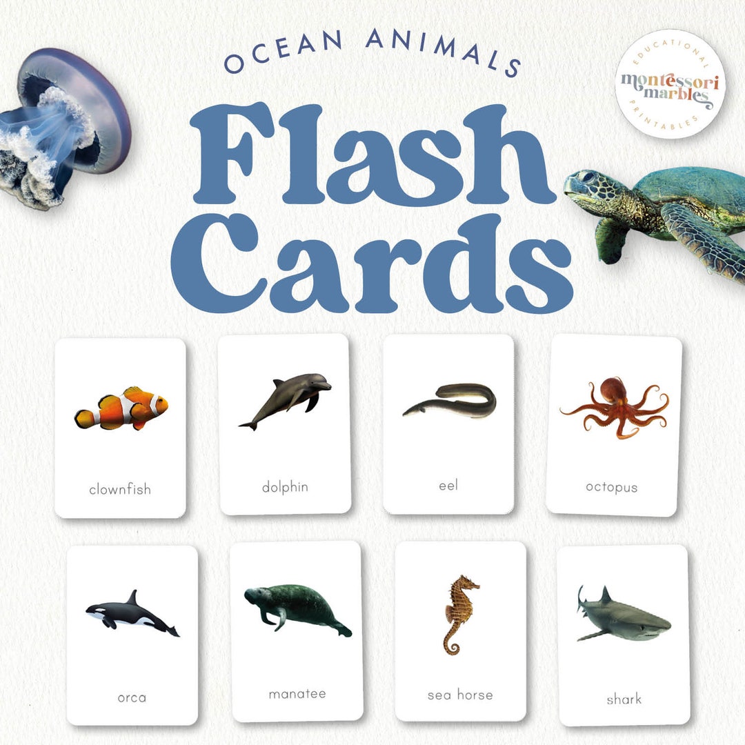 OCEAN ANIMALS Flash Cards | Montessori Inspired Resources With Real ...